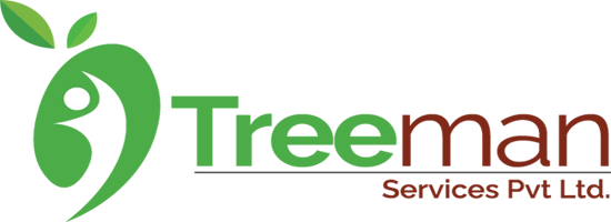 Treeman Services - Expert Tree Care & Maintenance